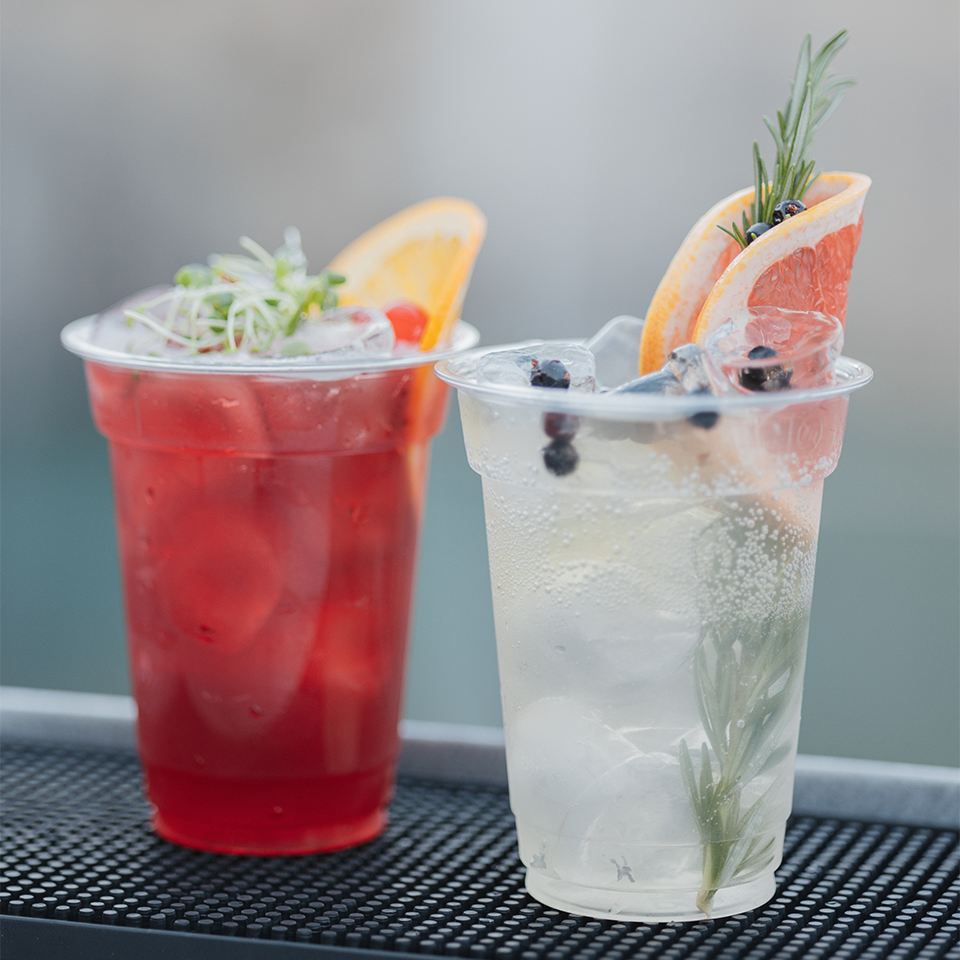 Vip access - Dalhalla